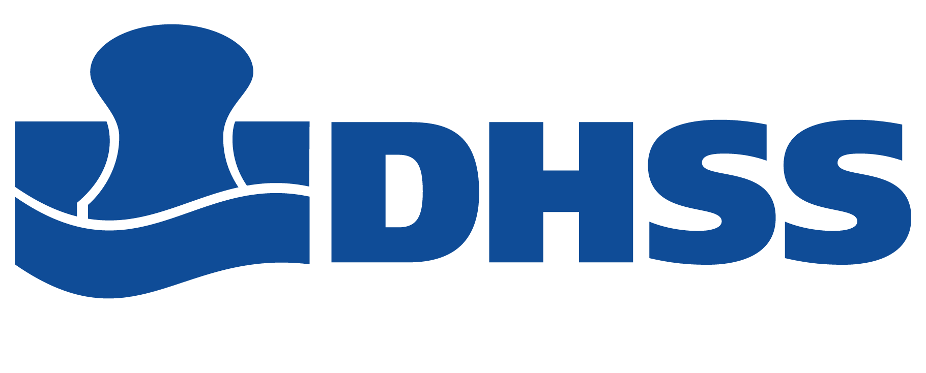 DHSS - Offshore Energy