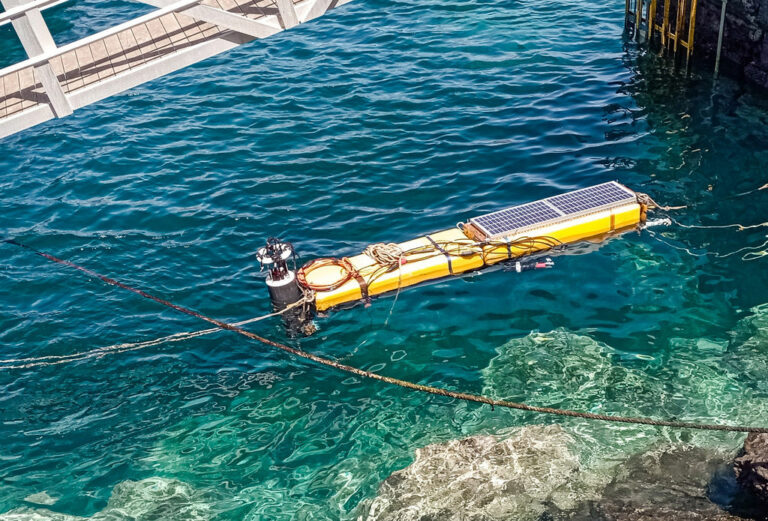 Danish company kicks off wet tests for ‘wave to energy and water ...