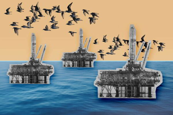 Chevron, Marathon Oil and Equatorial Guinea govt pursuing further ...