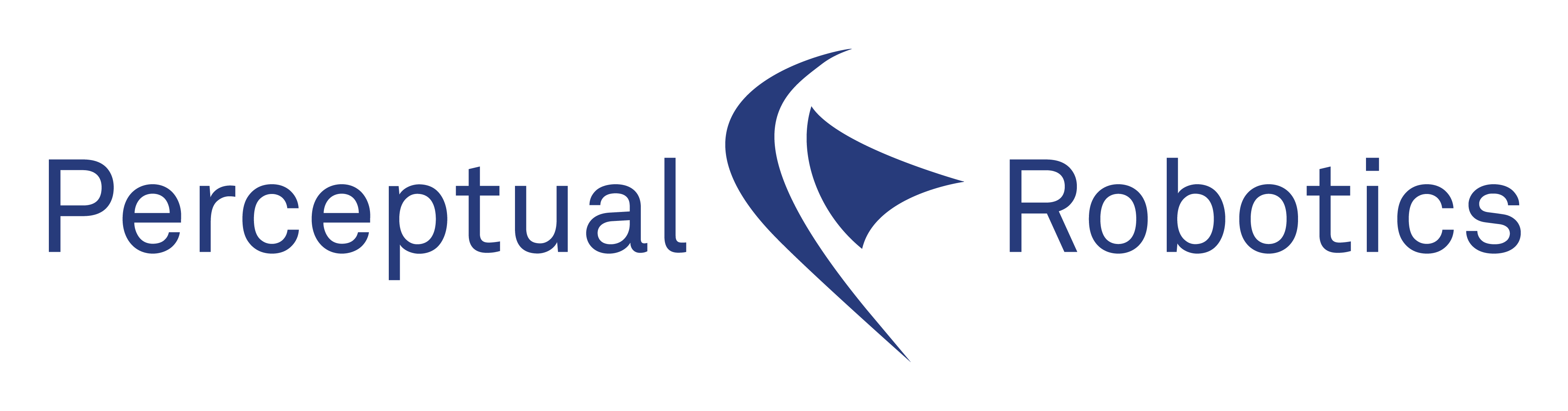 Perceptual Robotics - Offshore Energy