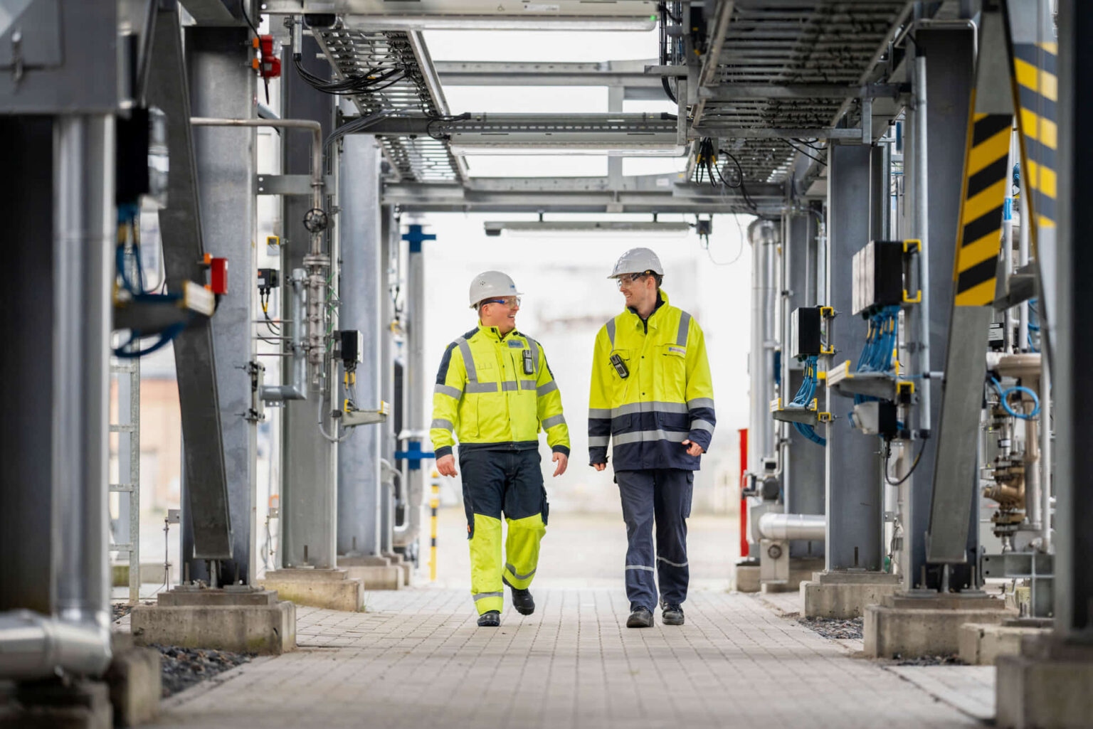 Sea Lion’s roar unlocks the funding vault: Falkland Islands’ $2.1B oil ...