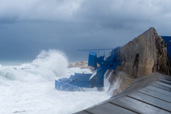 Board update as Eco Wave Power gears up for LA wave energy debut ...